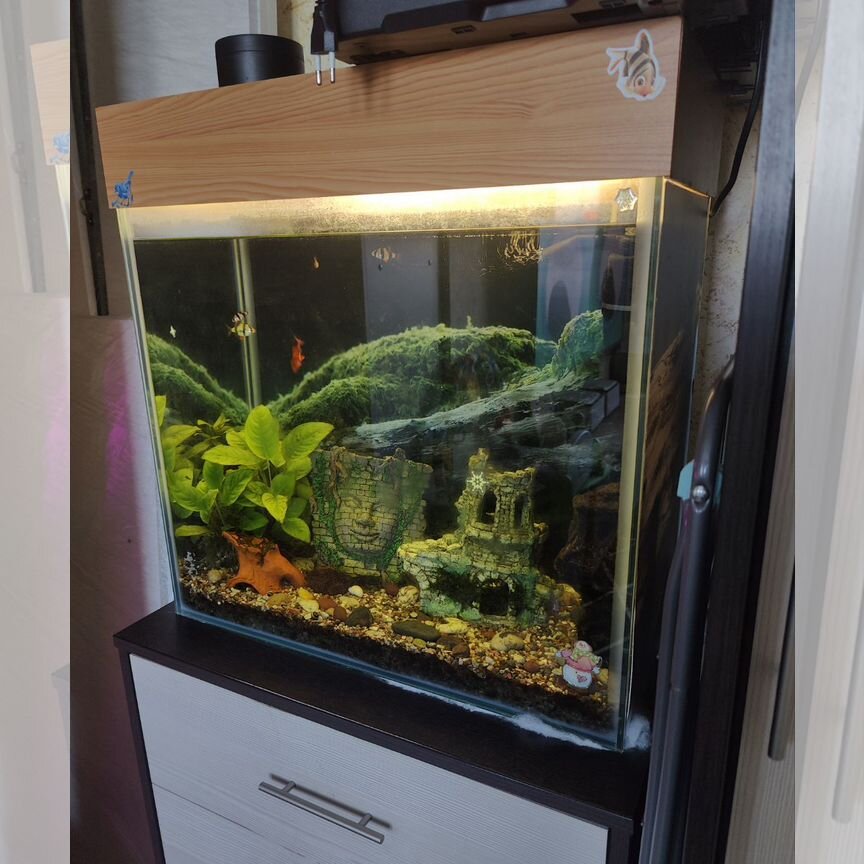 Аквариум комплекс