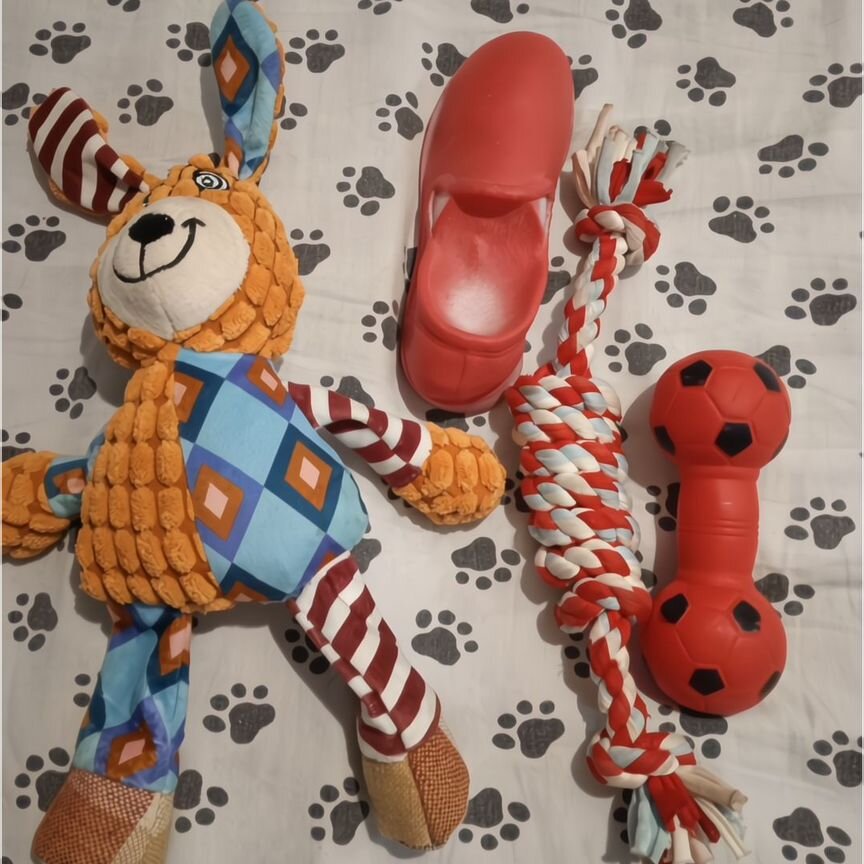 Новые игрушки для собаки