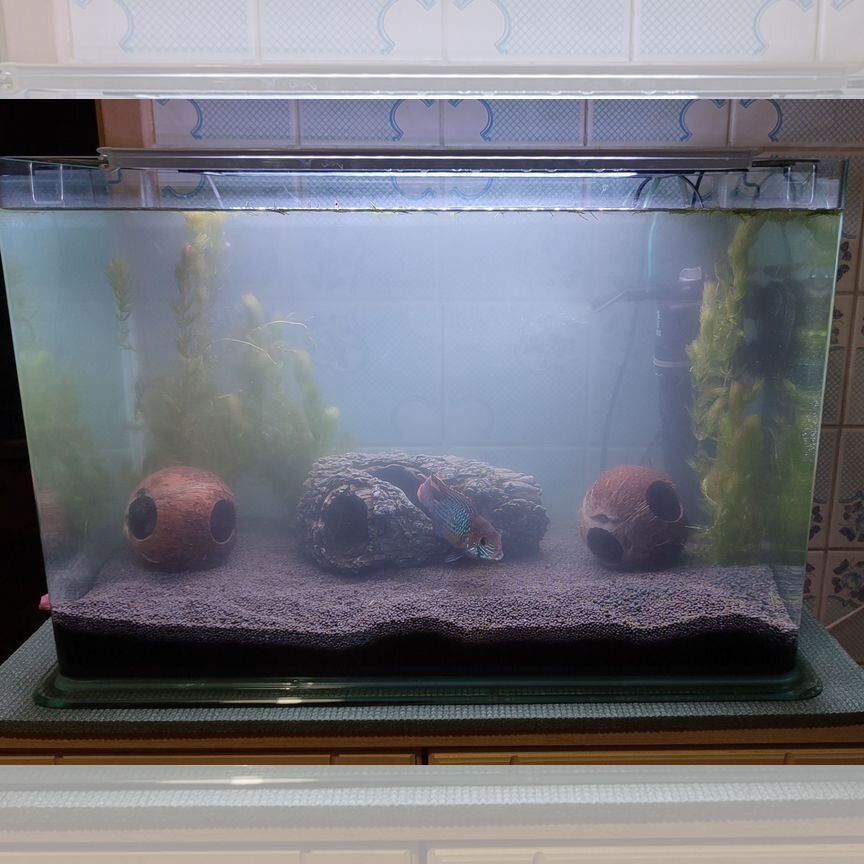 Аквариум бесшовный 70 л