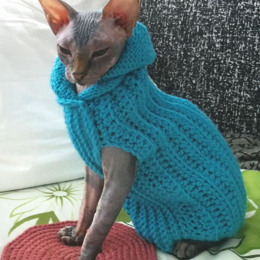 Польто для кошки