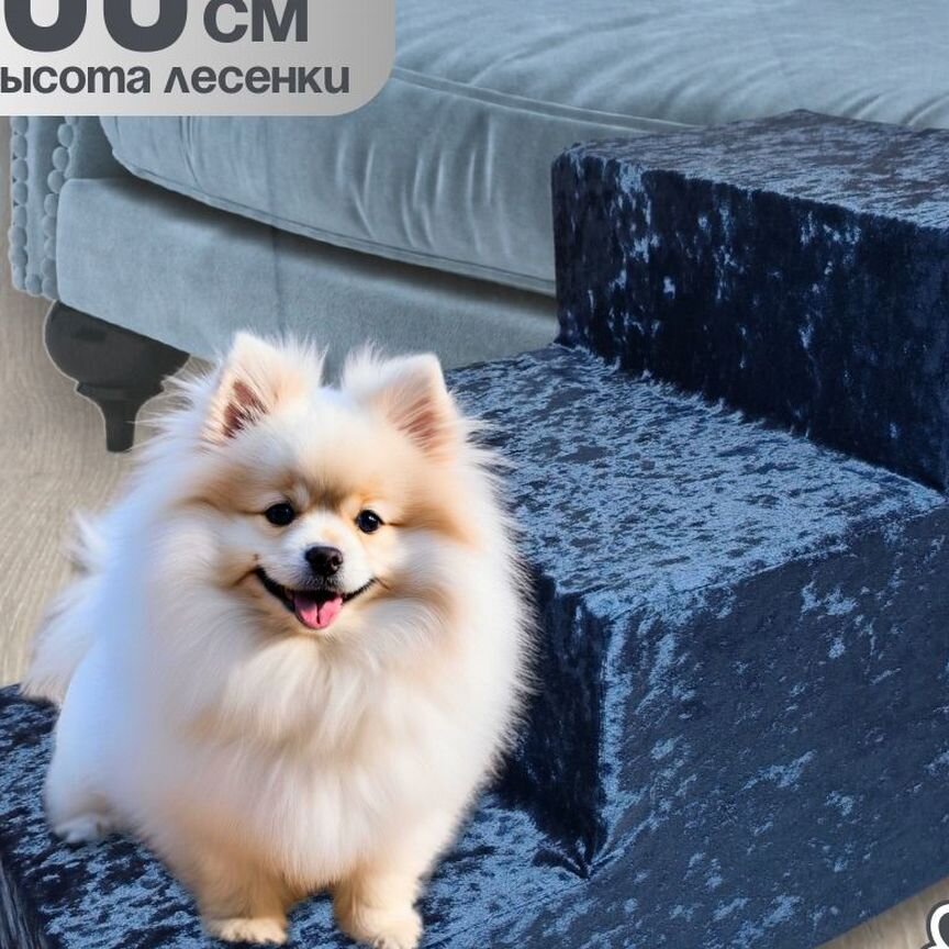 Поролоновая лесенка для собак и кошек