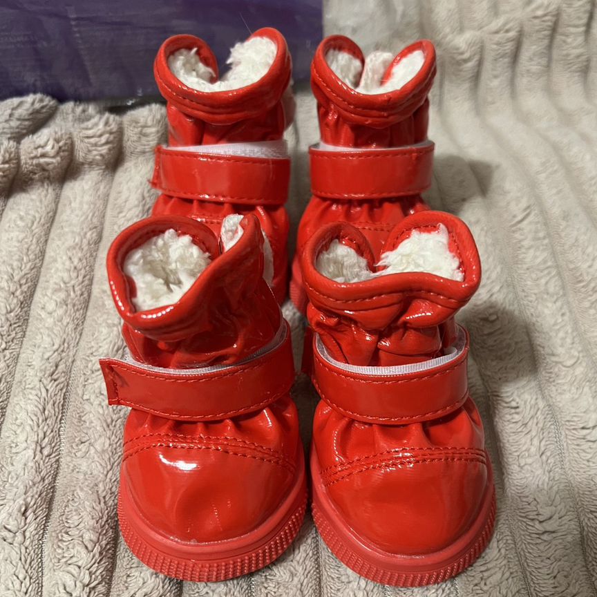 Одежда для собак