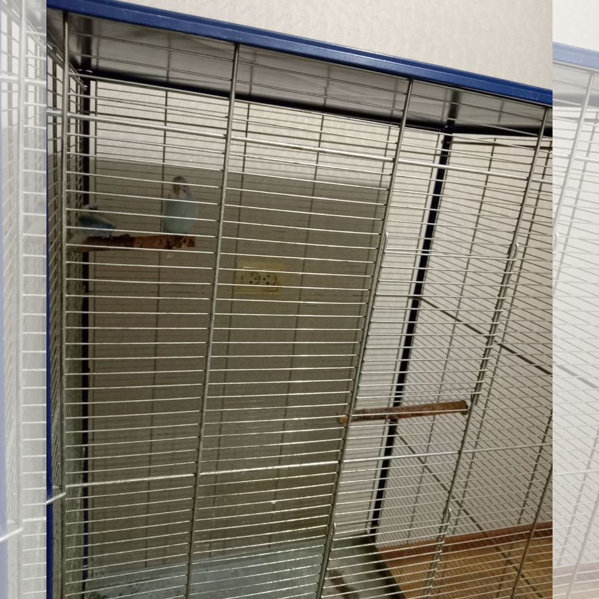 Клетка для попугая большая