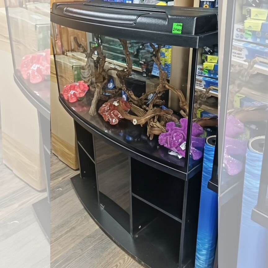 Шикарный аквариум на 200 литров