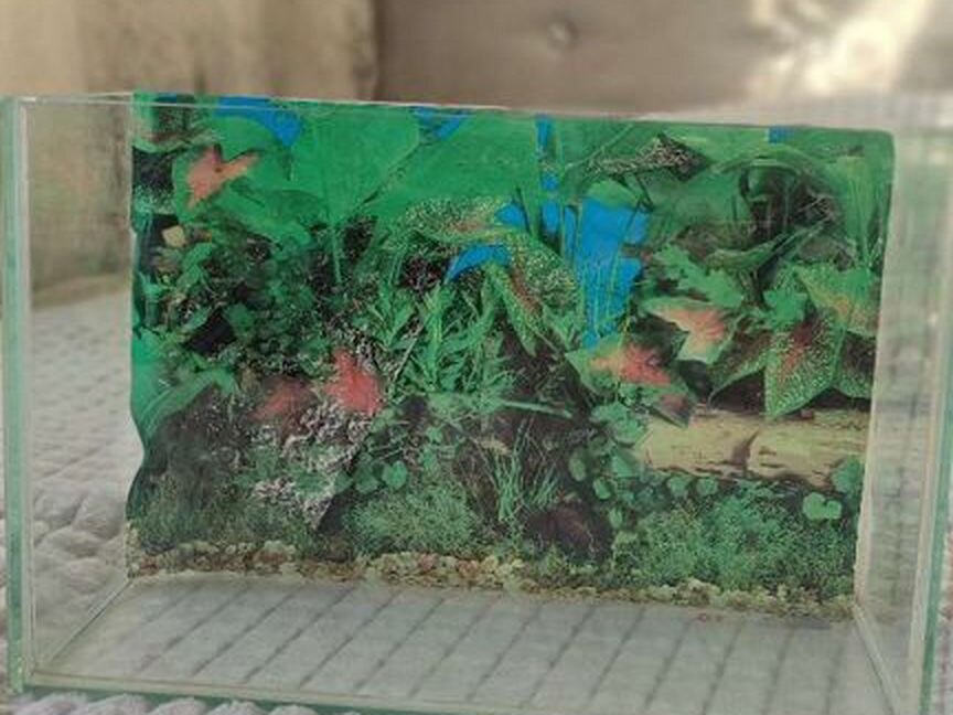 Аквариум 10 литров