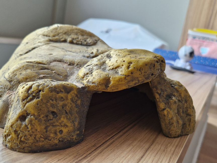 Укрытие для рептилий