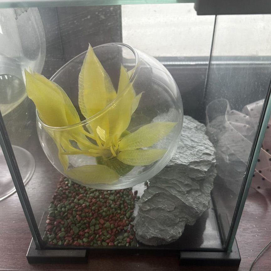 Аквариумы 5-10 литров