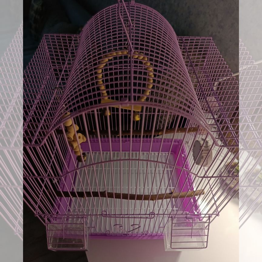 Клетка для волнистого попугая
