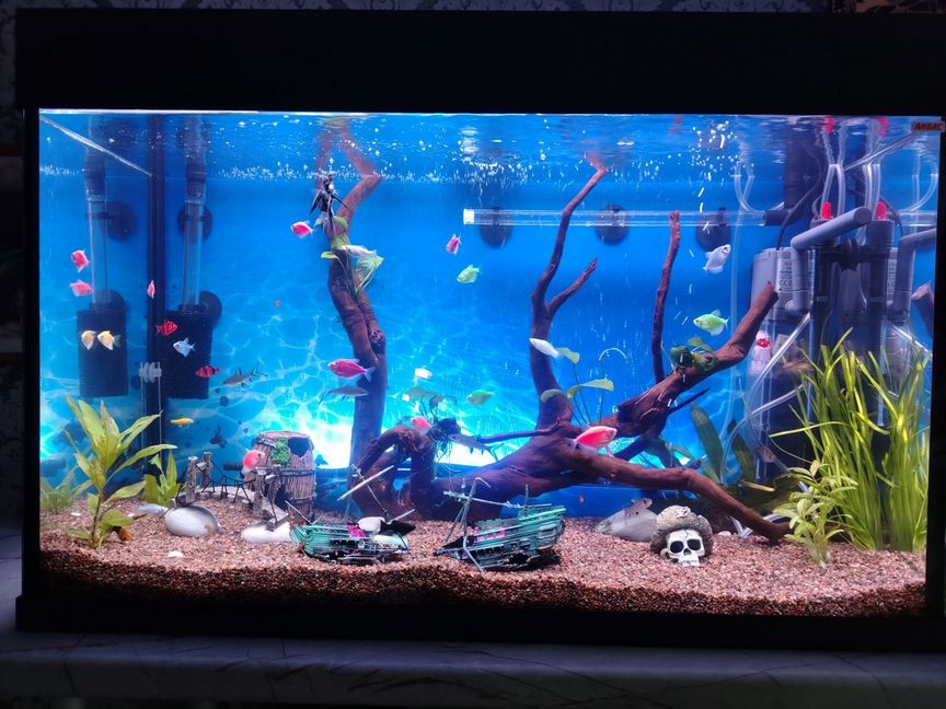 Аквариум