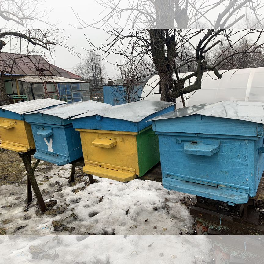Ульи 12 рамочные б/ у