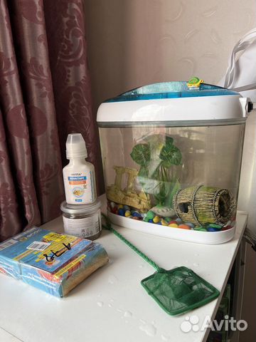 Аквариум для петушка
