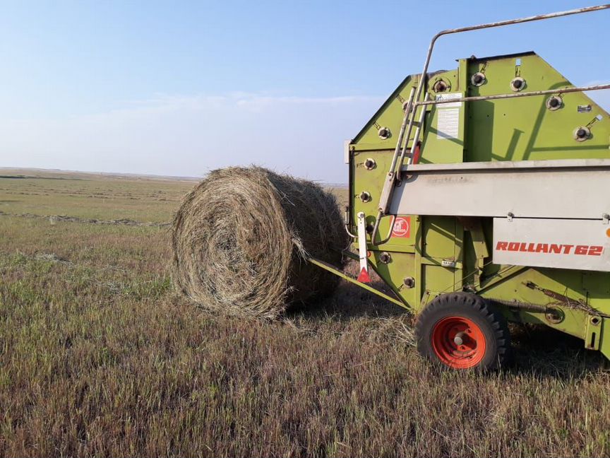 Продам сено в рулонах