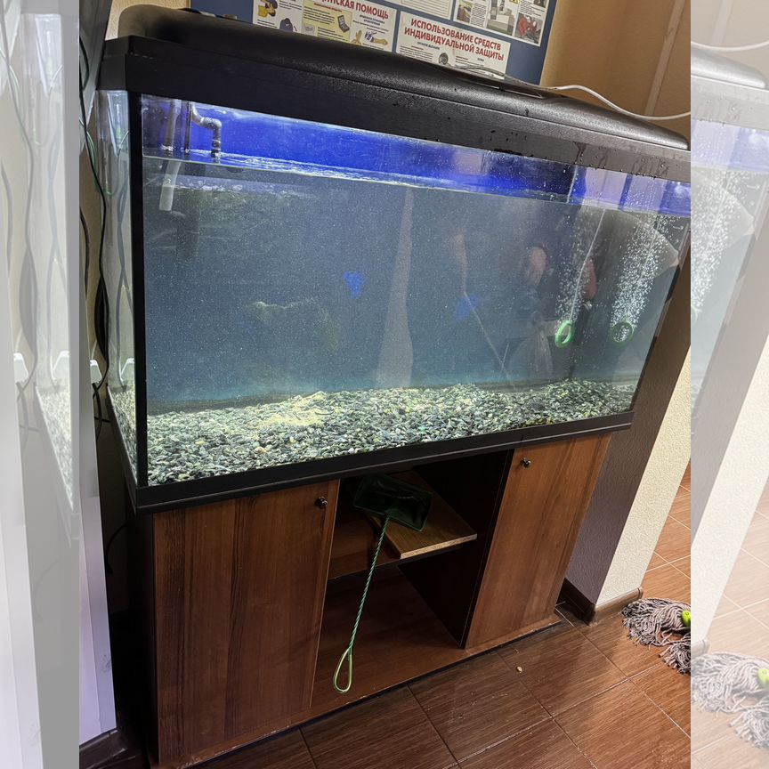 Аквариум