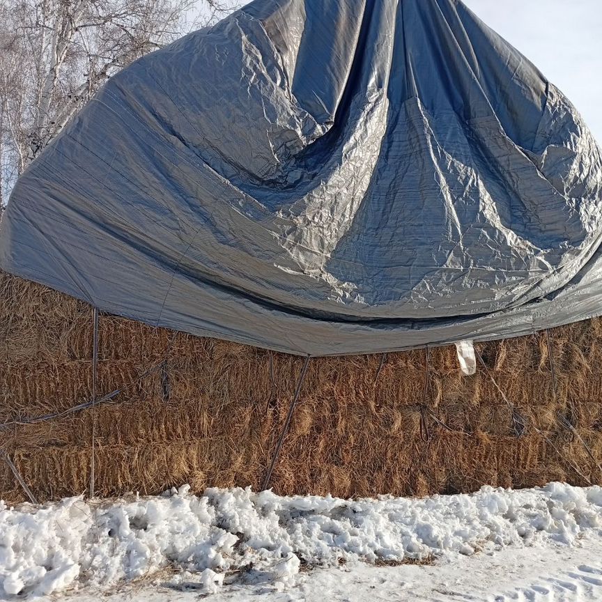 Сено в тюках