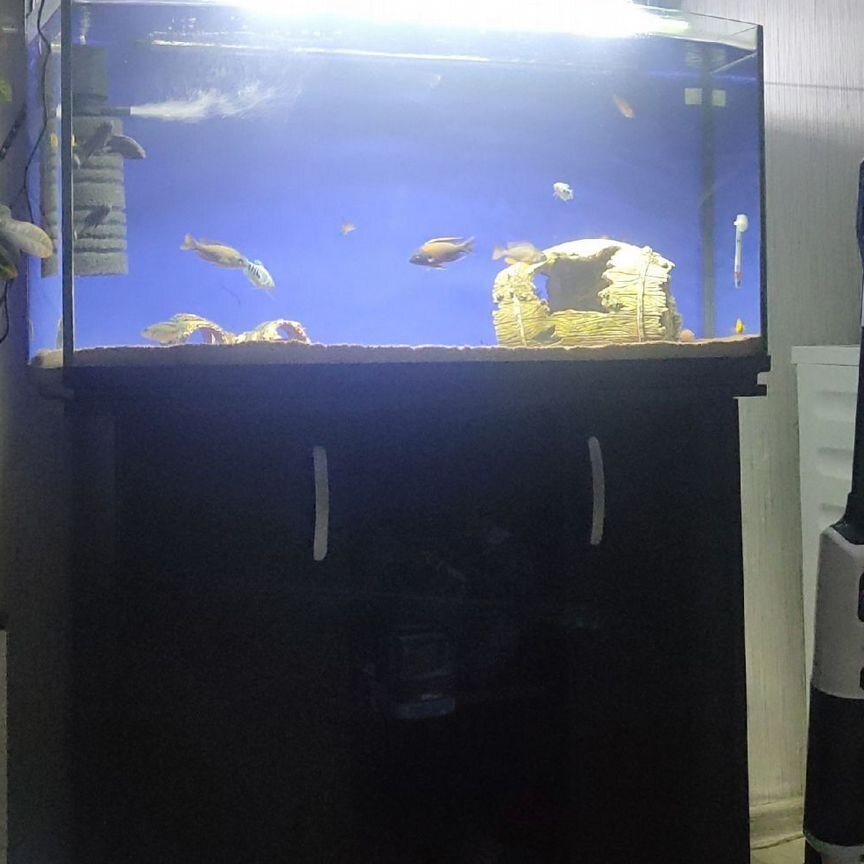 Аквариум с тумбой 200л