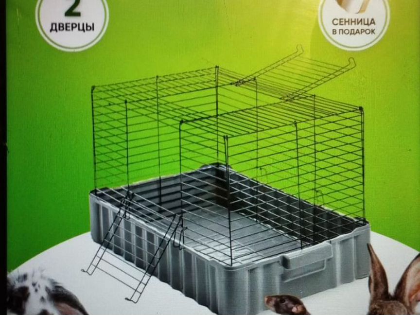 Клетка