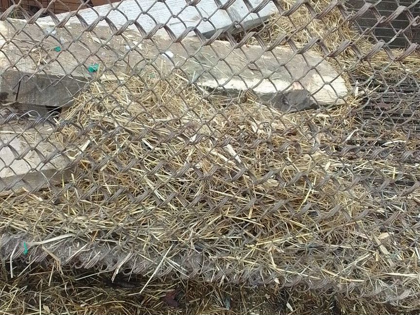 Клетки для нутрий