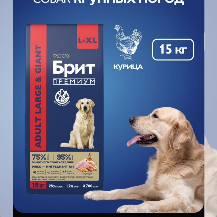 Корм для собак