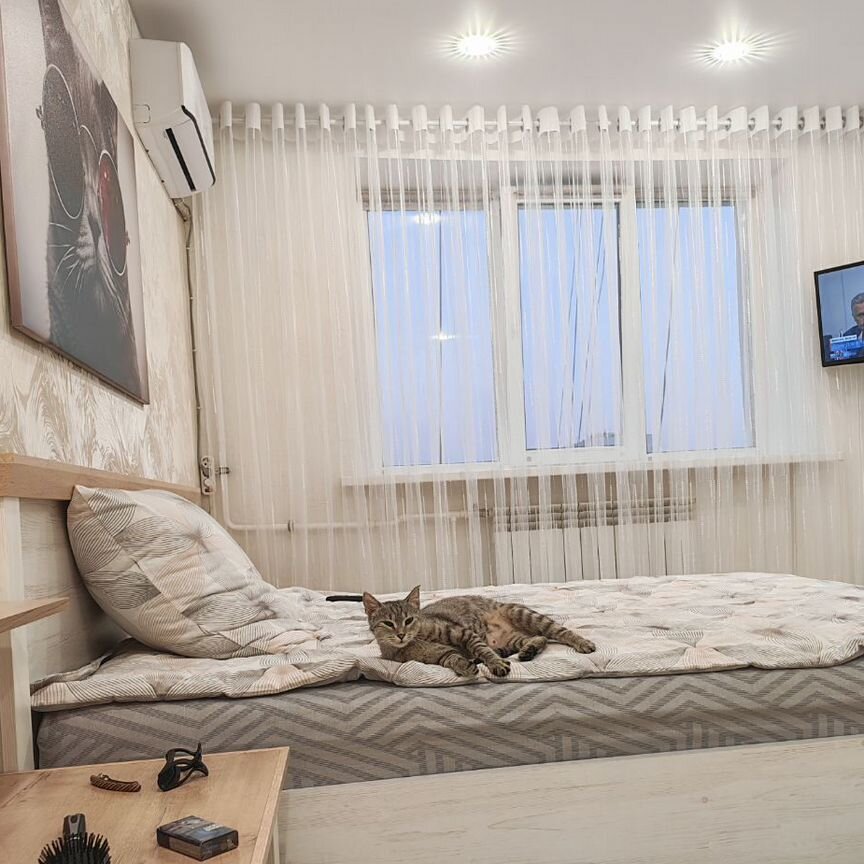 Взрослая, кошка в добрые руки
