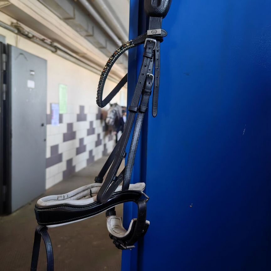 Уздечка для лошади