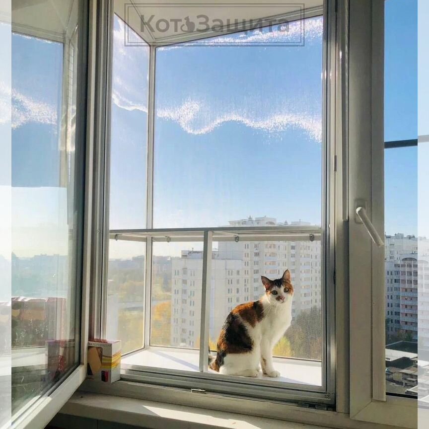 Прогулочный балкон для котов