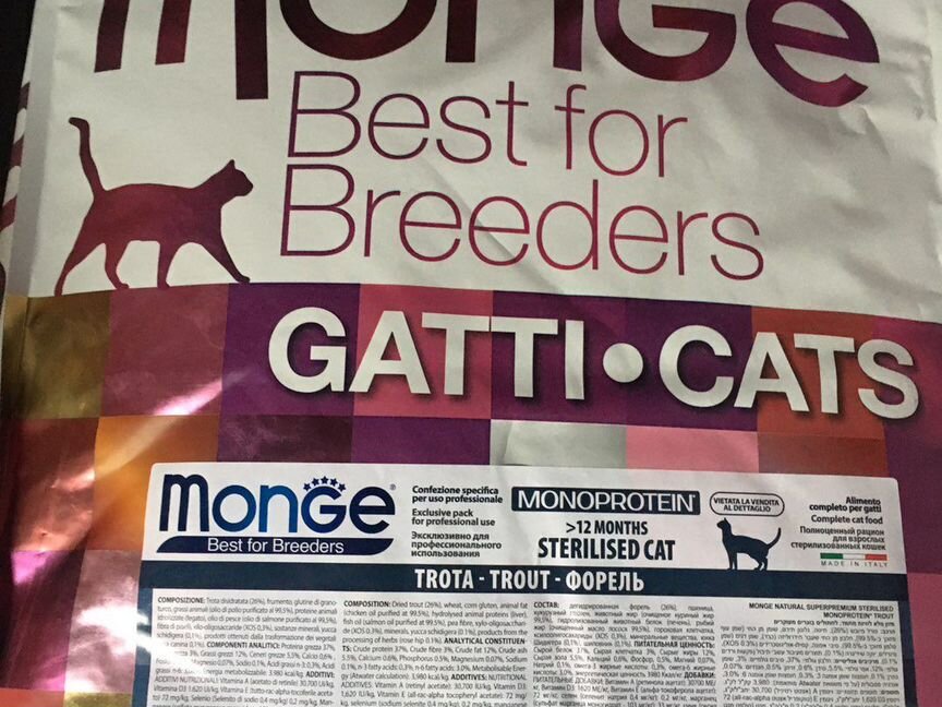 Монж (mong) для кошек