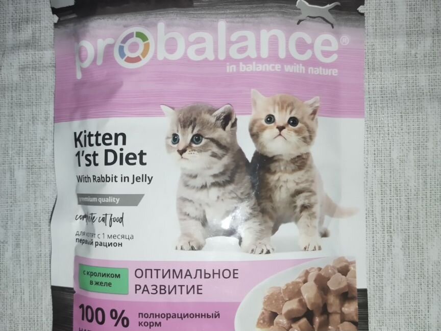 Влажный корм для котят