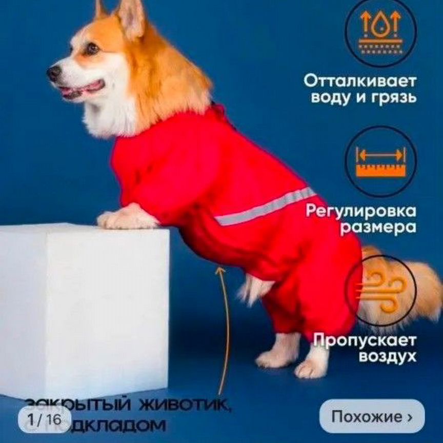 Комбинезон для собак комплекции корги
