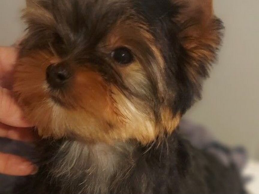 Классный мальчишка