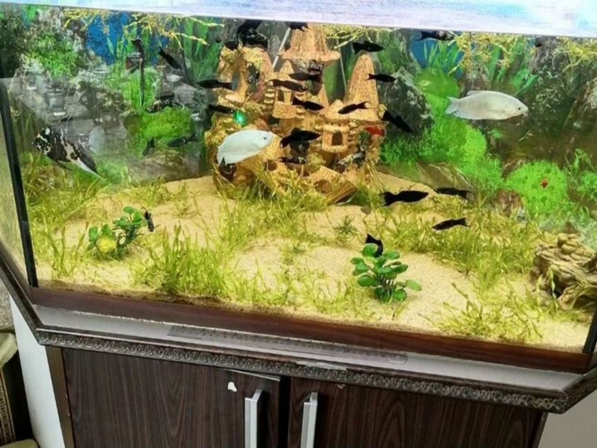 Аквариум с тумбой 320 литров