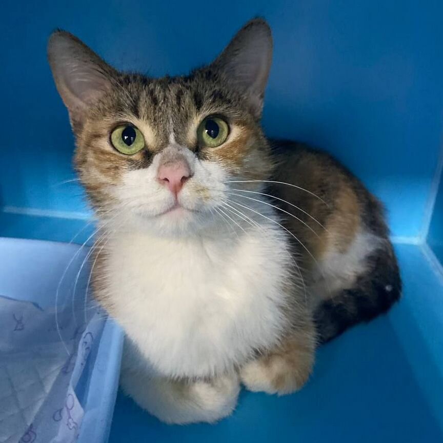 Женечка преобразилась просто