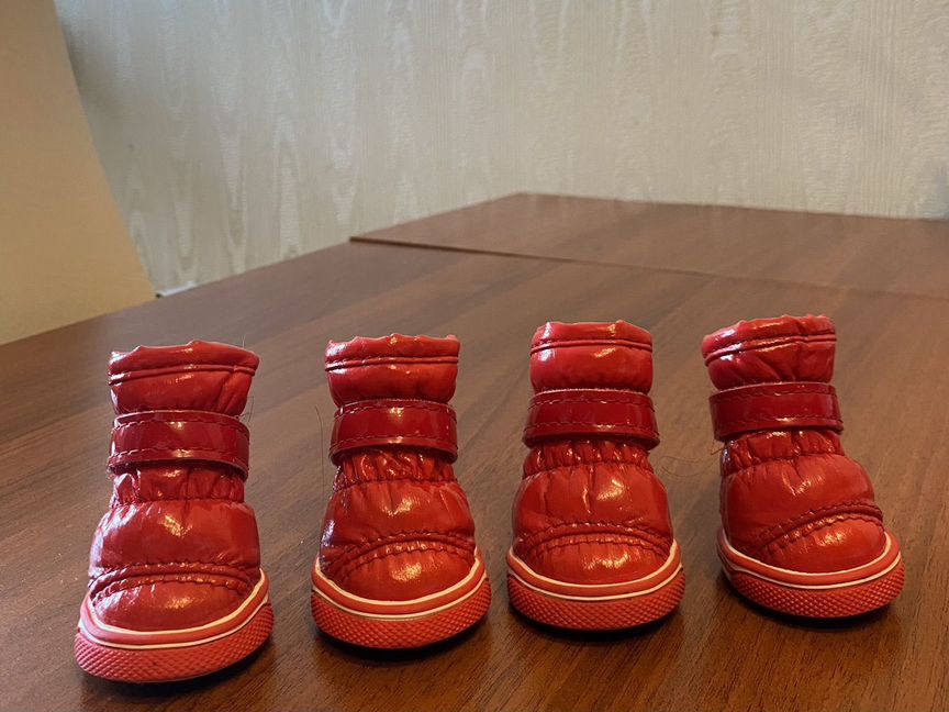 Ботинки для собак, размер 2