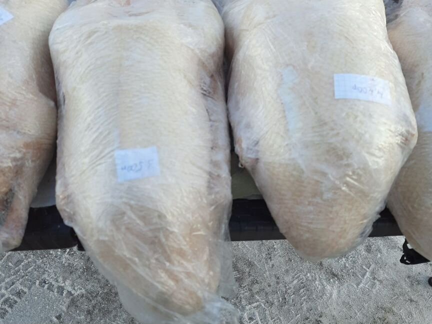 Мясо гусиное, утка, бройлер