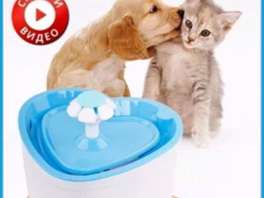 Фонтанчик для кошек и собак