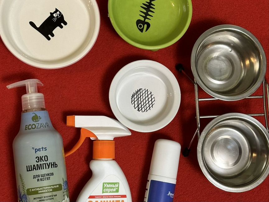 Миски для кошек, маникюр и расческа для кошек