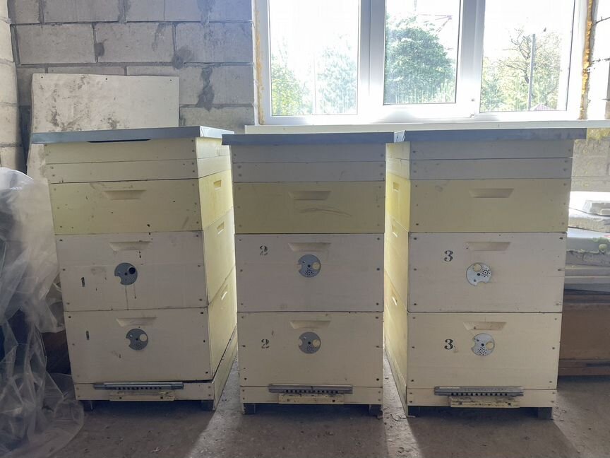 Ульи рутовские 10 рамочные