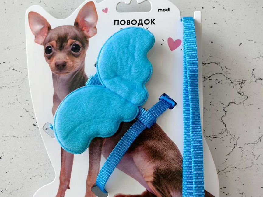 Поводок и шлейка крылья