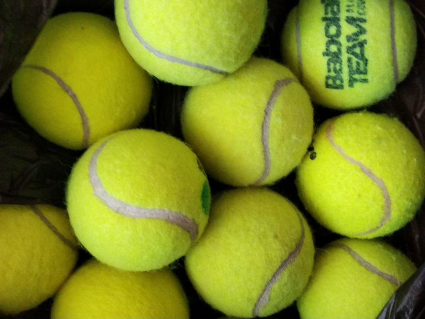 Мячики для собак