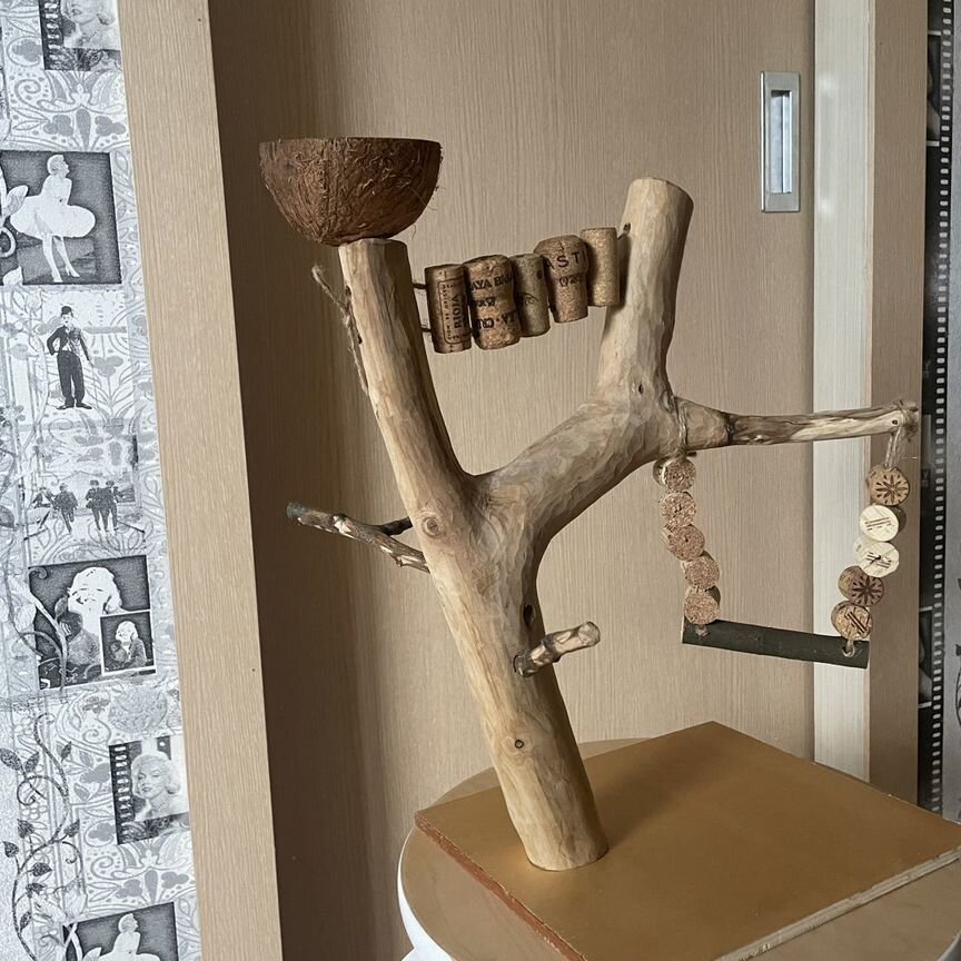 Стенд для попугая