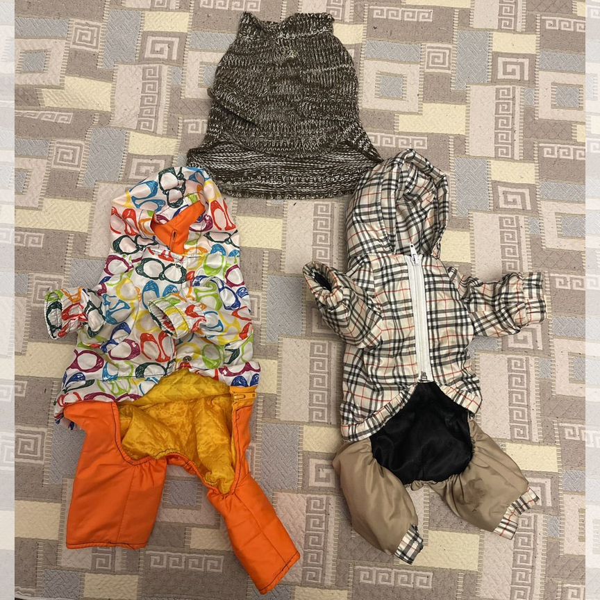 Одежда для собак