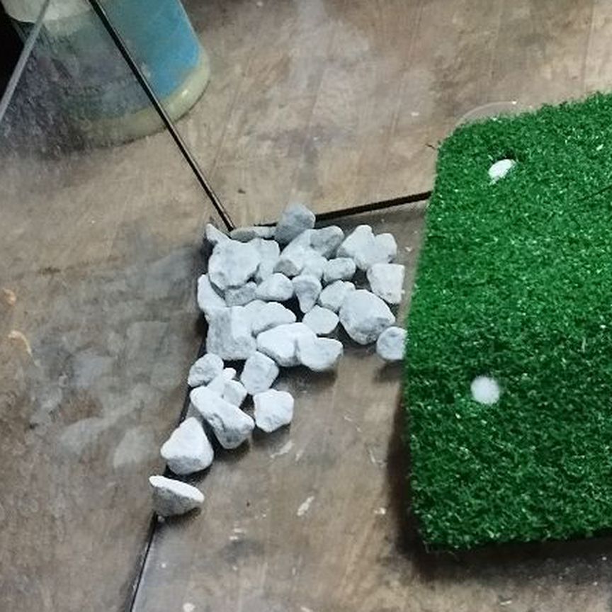 Аквариум для черепашек или улиток