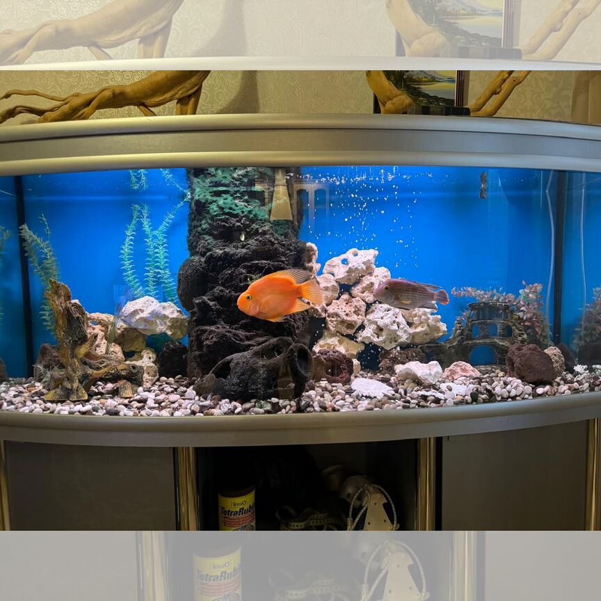 Аквариум с рыбками и тумбой