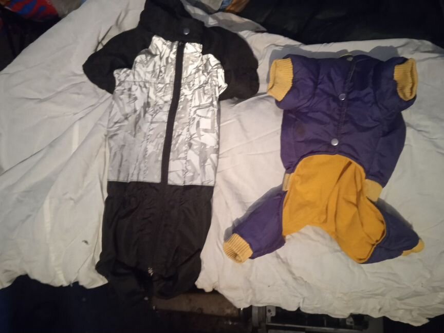 Костюмы для собак