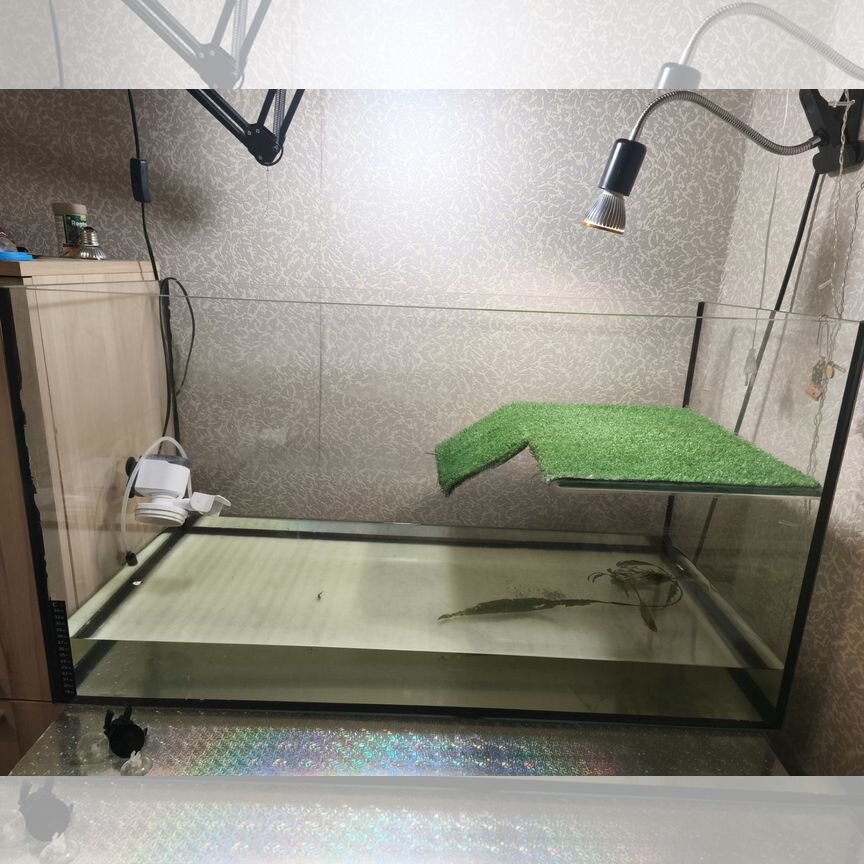 Аквариум для черепах большой