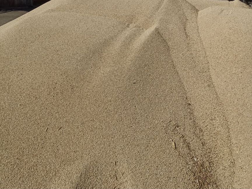 Корма для животных