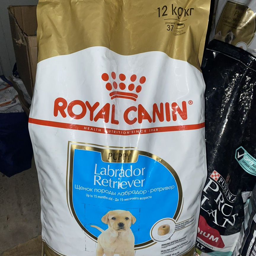 Royal canin labrador retriever pupyy 12 кг