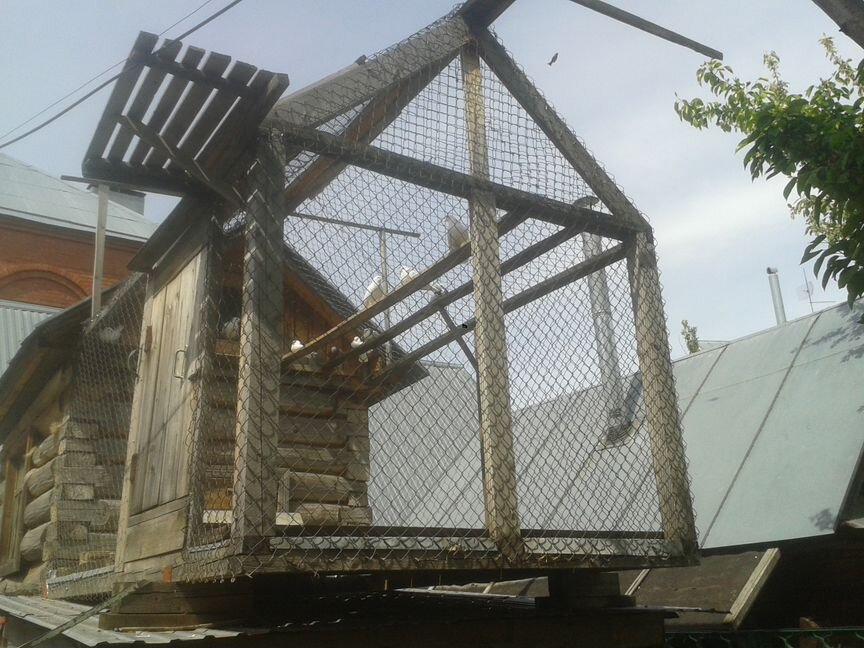 Птичник,голубятня, крольчатник