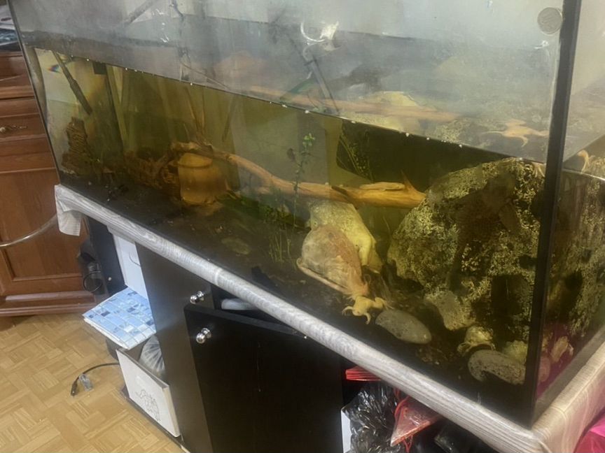 Аквариум с тумбой 300 литров