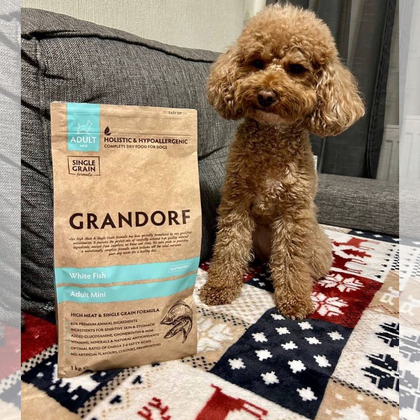 Корм для собак grandorf white fish 1кг