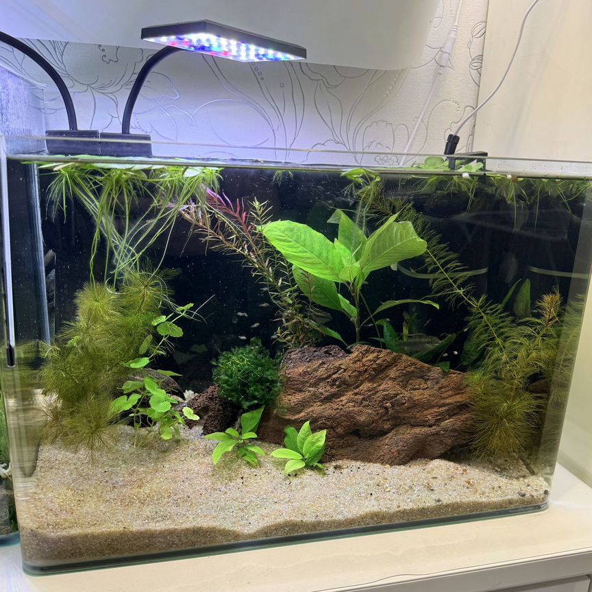 Аквариум 40 л полный комплект